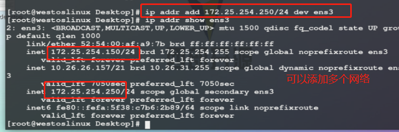 Linux中的网络配置（ip地址，网关，dhcp，网桥）_linux 网桥 dhcp服务-CSDN博客