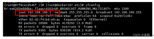 Docker基础24--Docker网络配置_修改docker0默认ip-CSDN博客