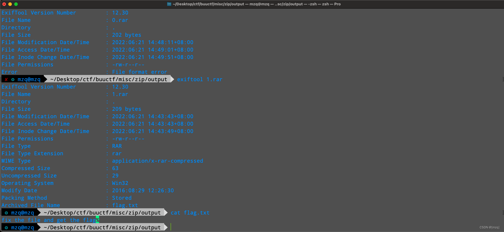 buuctf misc zip_buu zip1_[mzq]的博客-CSDN博客