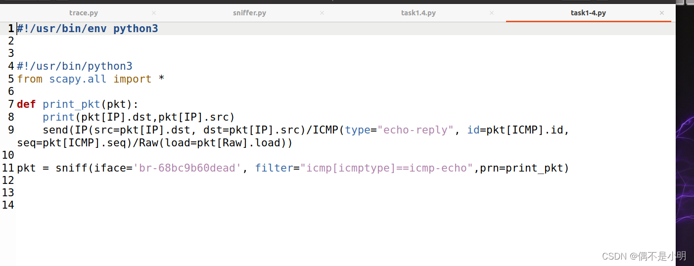 Lab1 Packet Sniffing and Spoofing Lab-CSDN博客