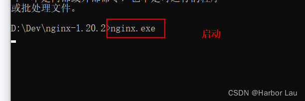 linux和windows中nginx的启动命令,负载均衡_window上linux测试nginx负载均衡-CSDN博客