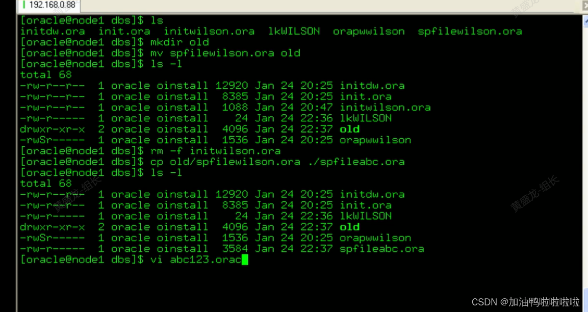 oracle小布老师笔记_oracle文件格式-CSDN博客