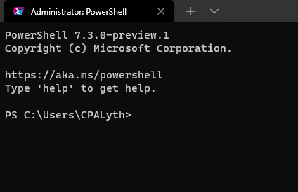 windows Terminal配置powershell7_powershell 7 write-error: windows terminal not det-CSDN博客