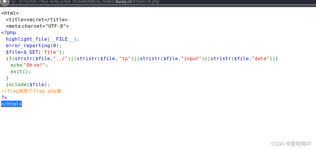 [极客大挑战 2019]Secret File1_secret file 极客大挑战-CSDN博客