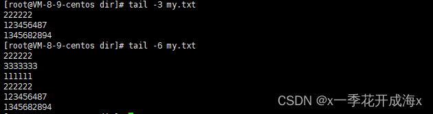 【Linux】Linux基本指令（二）_linux sort和more-CSDN博客
