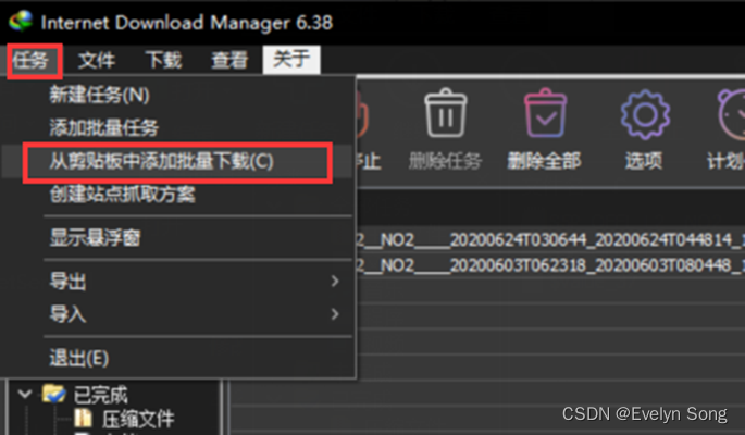 IDM+Python批量自动化下载哨兵5号数据_python idm库-CSDN博客
