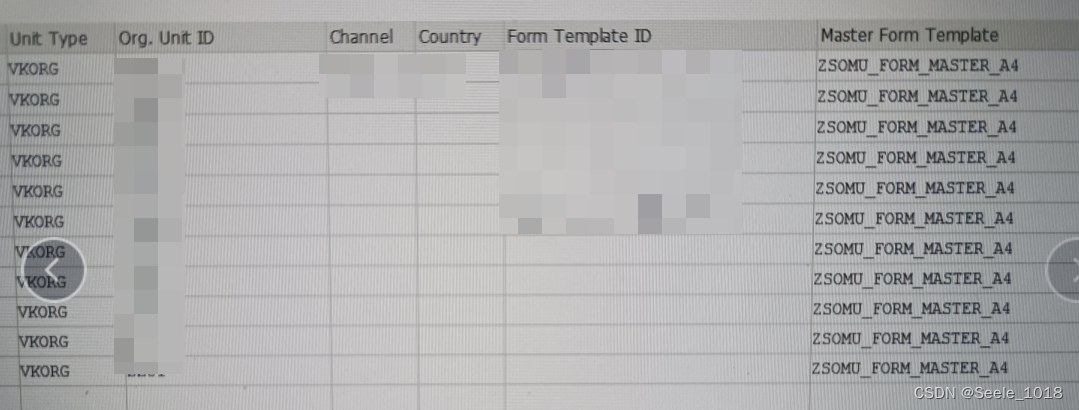 SAP 输出管理：生成自定义发票文件_sap 发票 output-CSDN博客