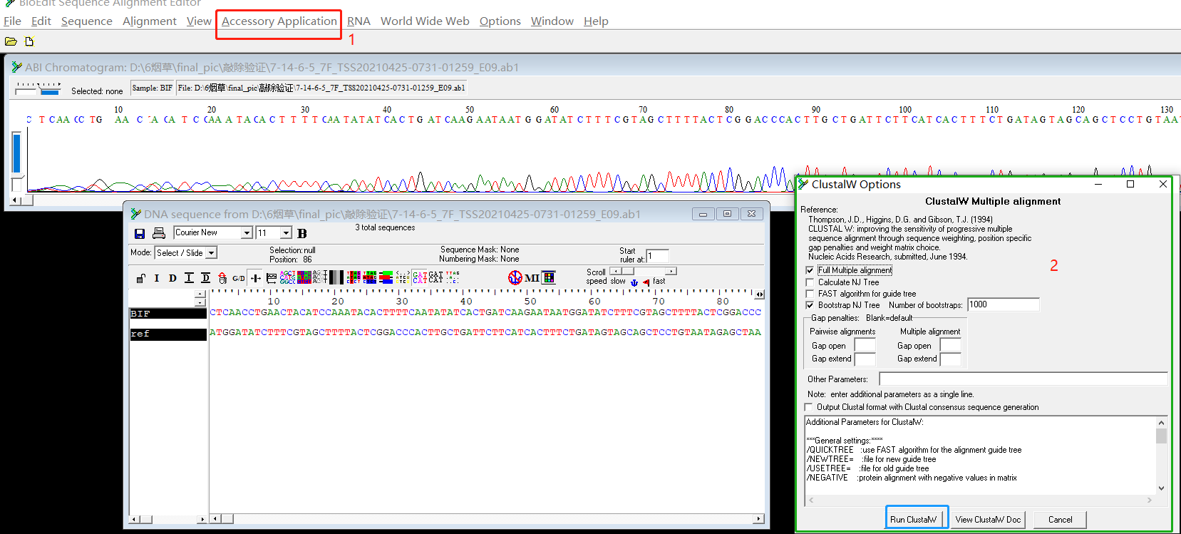 利用BioEdit软件进行短序列序列比对之查看突变位点_bioedit怎么序列比对-CSDN博客