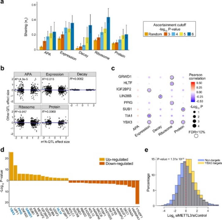 浅谈RNA甲基化研究思路_m6a 和 r-loop-CSDN博客