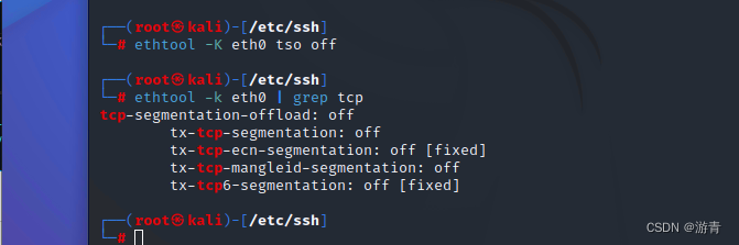 Tcpdump抓包显示tcp长度远大于mss值的解决方法tcpdump Tso Csdn博客