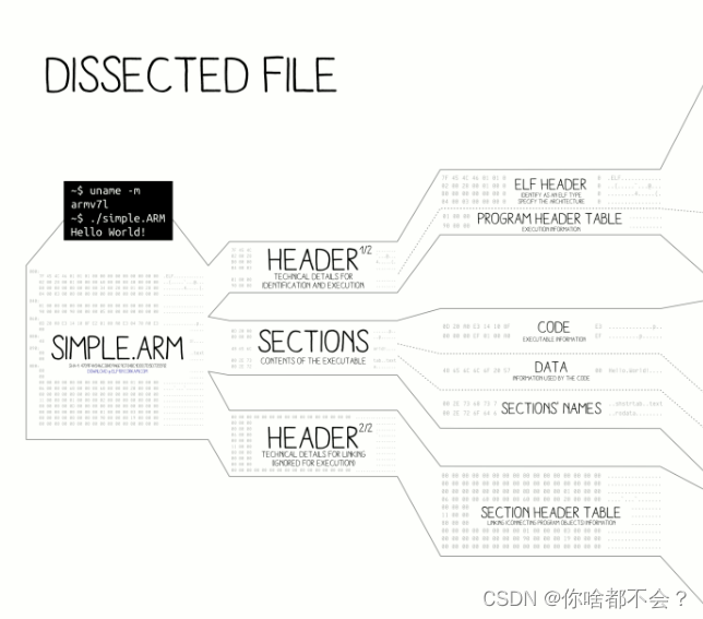 Elf文件结构 Csdn博客