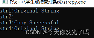strncpy()函数越界使用示例_strncpy越界问题-CSDN博客