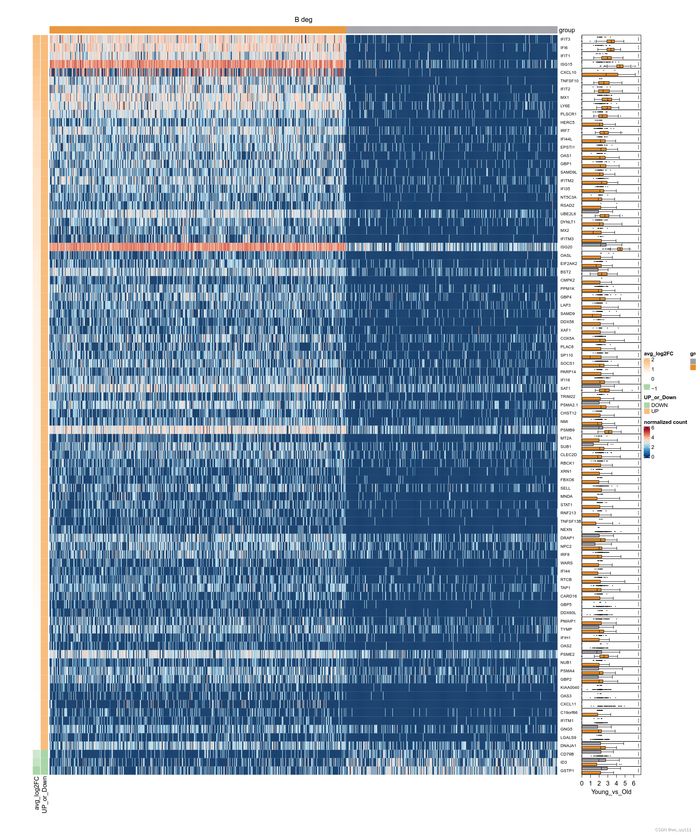 使用ComplexHeatmap在热图右侧绘制箱型图_r complexheatmap加一个右面的barplot-CSDN博客
