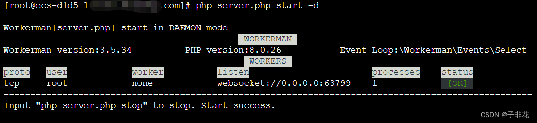 Workerman终端启动守护进程报错 Type Error Fclose Argument 1 Stream Must Be Of Type Resource Null