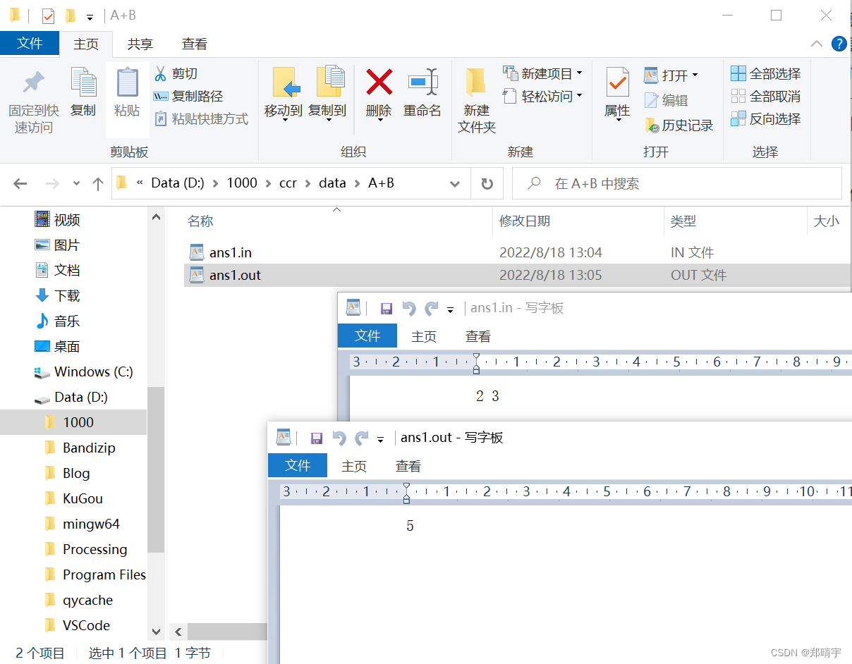 CCR-Plus 评测器使用配置指南-CSDN博客