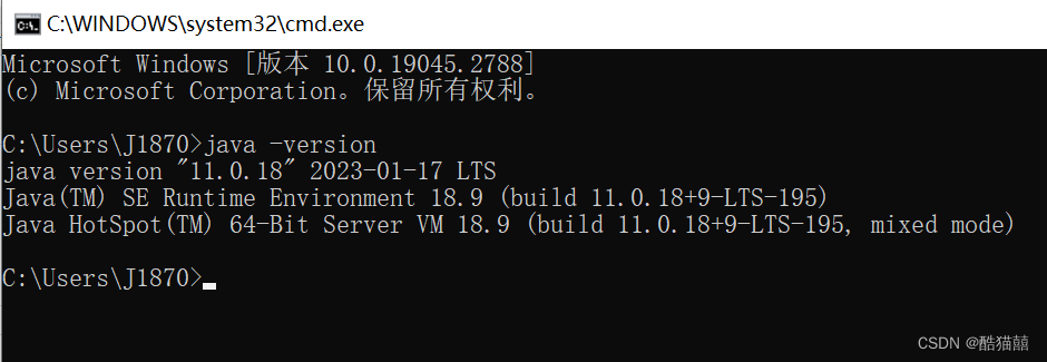 Java8与java11多个安装与环境配置 Java11安装 Csdn博客
