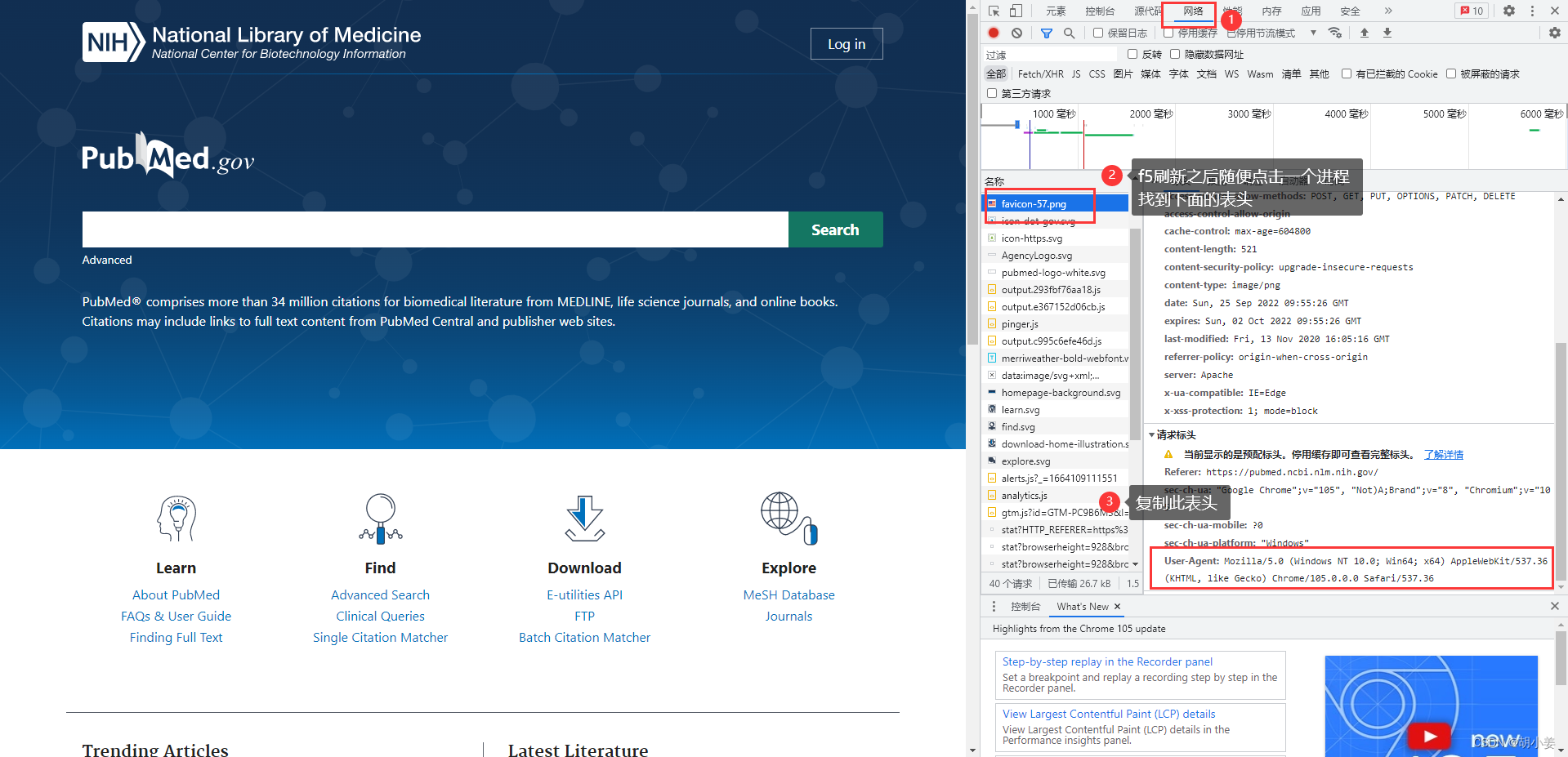 基于python对doi号通过sci-hub进行pubmed中的文献下载_用pubmed api获取文章doi号-CSDN博客