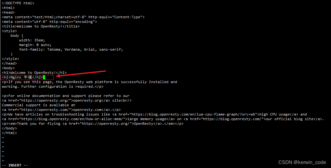 使用Docker安装OpenResty并使用Lua脚本实现通过请求头动态路由_openresty docker-CSDN博客