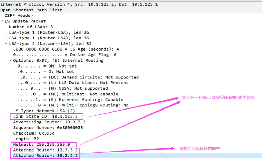 【ospf路由计算（一类LSA-router、二类LSA-Network、三类LSA-sum-Net）】-20211228-30-CSDN博客