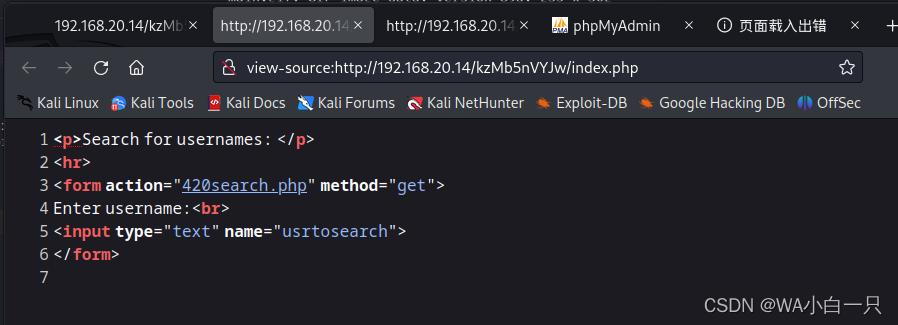 01_渗透靶场NullByte：namp使用，多姿势SQL注入，提权-CSDN博客