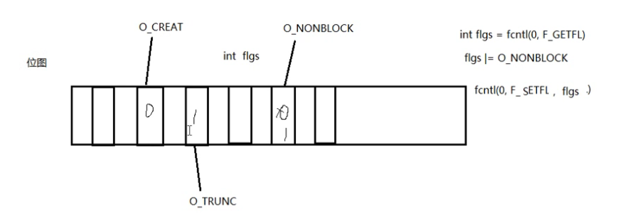 Linux系统编程——系统函数（调用）_linux c语言系统函数调用-CSDN博客