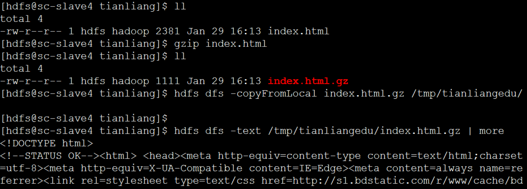 分布式文件系统HDFS_hdfs dfs-CSDN博客