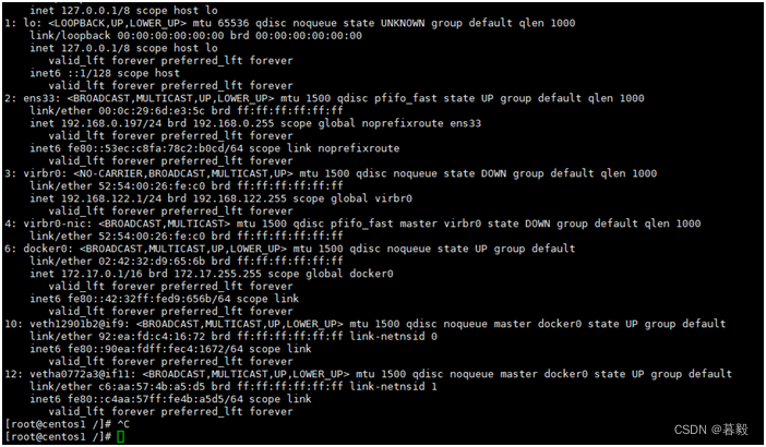 Docker基础24--Docker网络配置_修改docker0默认ip-CSDN博客