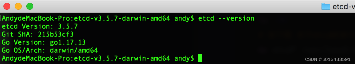 Go ETCD 安装 & 使用_etcd for go-CSDN博客