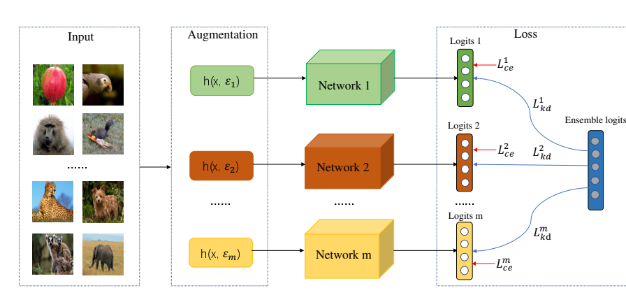 2021-07-26_online knowledge distillation via collaborative le-CSDN博客