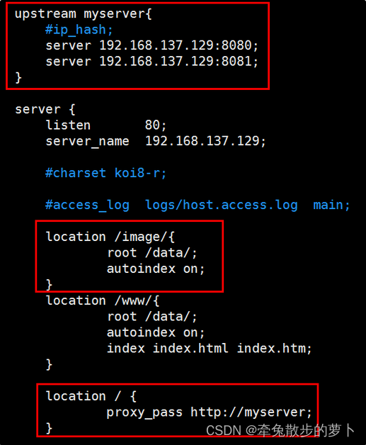 六、 Nginx配置实例 动静分离nginx 动态路径 Csdn博客
