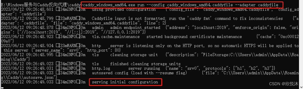 Windows服务Nssm与Caddy2反向代理_caddy windows-CSDN博客
