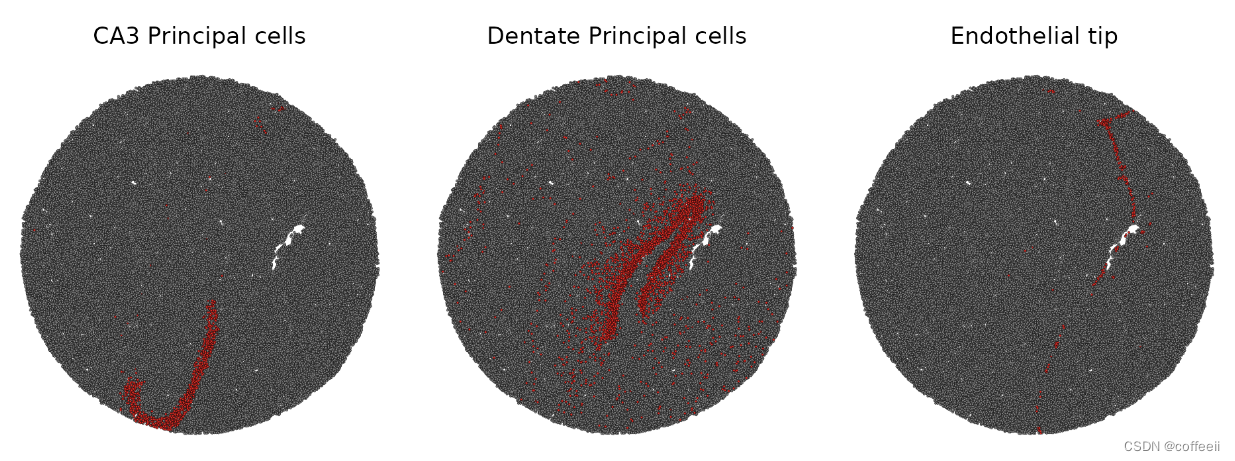 跟着Seurat官网学空间转录组（Slide-seq数据集为例）_updateseuratobject-CSDN博客