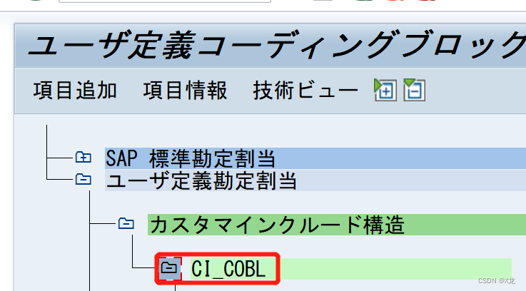 S/4 Coding block 增加扩张字段与error的解决方法_codingblock-CSDN博客