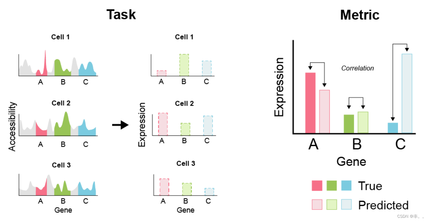 KAGGLE比赛分享-细胞赛(一)_structural defects network (sdnet) 2018标注-CSDN博客