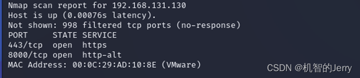 漏洞渗透测试：easy file sharing server_easy file sharing安装_机智的Jerry的博客-CSDN博客