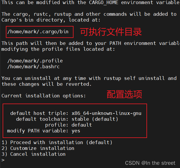 Rust学习与实践 (一) 环境搭建_cargo安装-CSDN博客