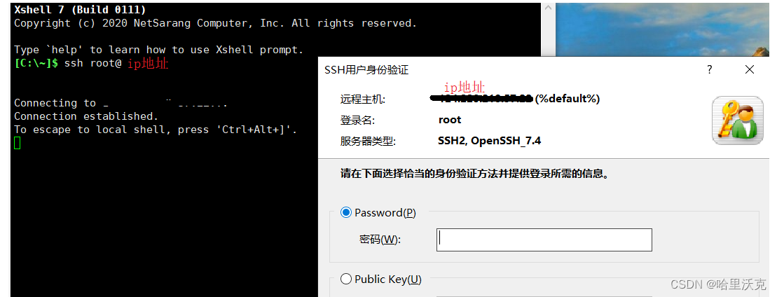 Linux操作基本指令（1）_linux pwd root-CSDN博客