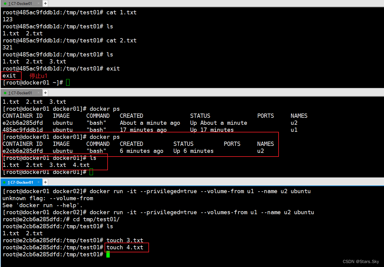 【云原生 Docker 基础篇】08、docker 容器数据卷 Basename Unrecognized Option Privileged True Csdn博客