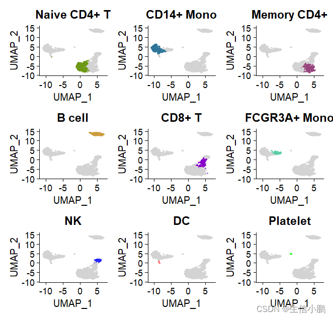 单细胞分析（三）——细胞分群单独展示_单细胞分群-CSDN博客