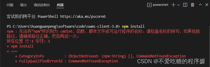 npm install报错的解决方案_vscode npm install报错-CSDN博客
