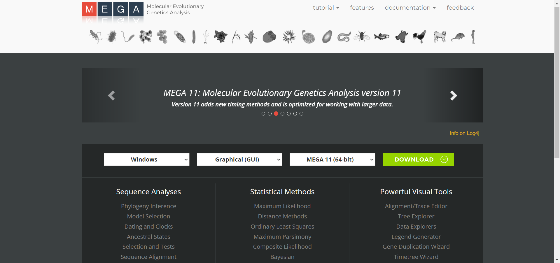 利用MEGA做序列比对_mega序列比对结果怎么看-CSDN博客