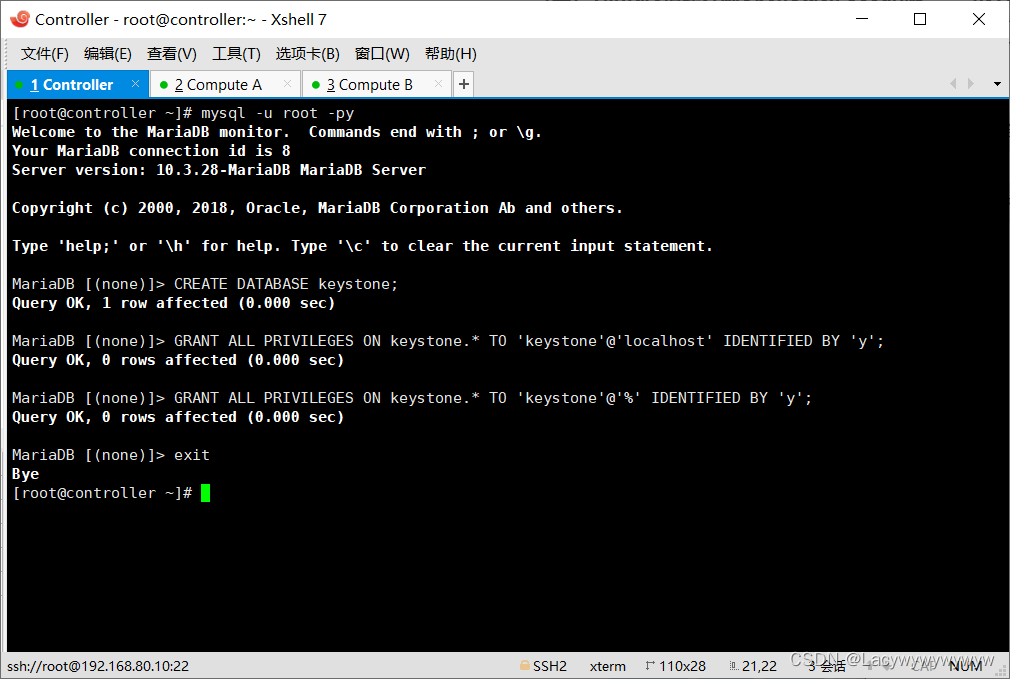 （三）VMware搭建开源OpenStack Ussuri版 —— keystone_openstack ussuri高可用环境-CSDN博客