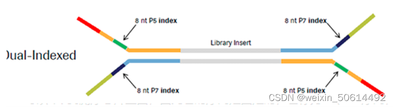 二代测序之WES文库构建学习笔记_二代测序文库构建-CSDN博客