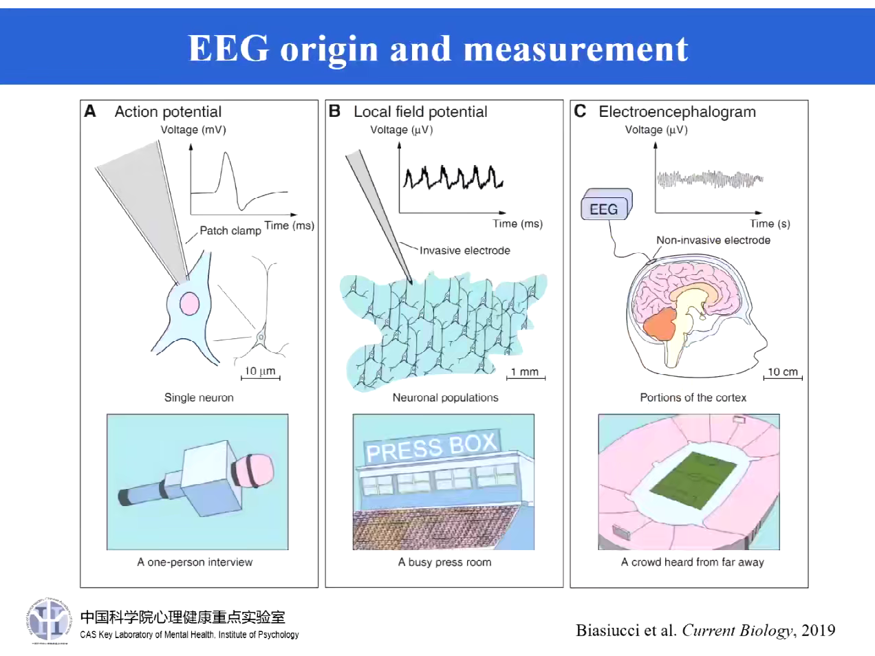 脑电数据分析方法与应用实例简介-EEG Processing and Feature 1-CSDN博客