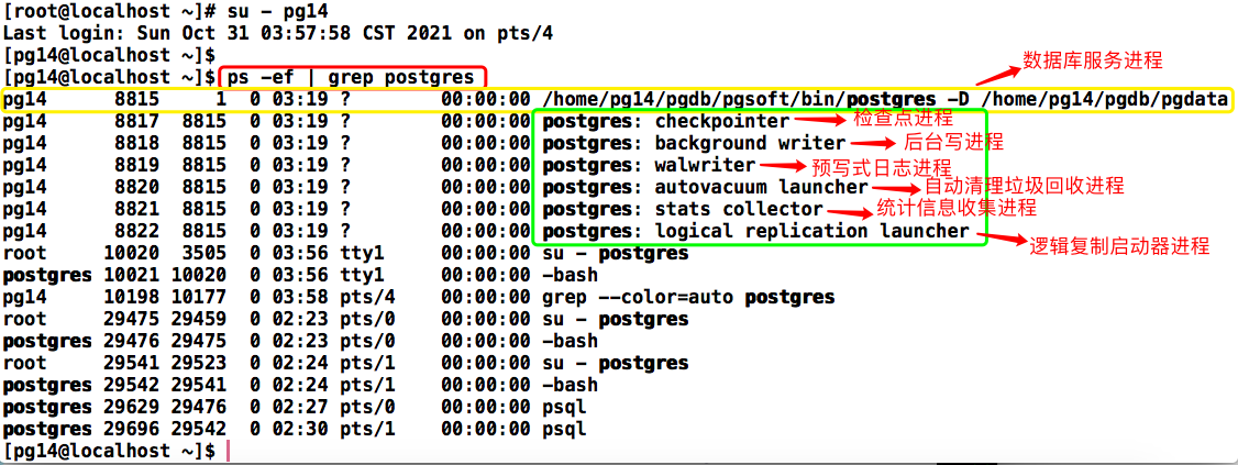 PG 入门系列 】PostgreSQL的体系结构（三）_postgres 查看instance 信息-CSDN博客