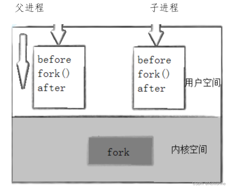 关于linux中的fork函数-CSDN博客