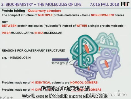 【Bio】基础生物学 - 蛋白质结构 protein structure_蛋白结构解析-CSDN博客
