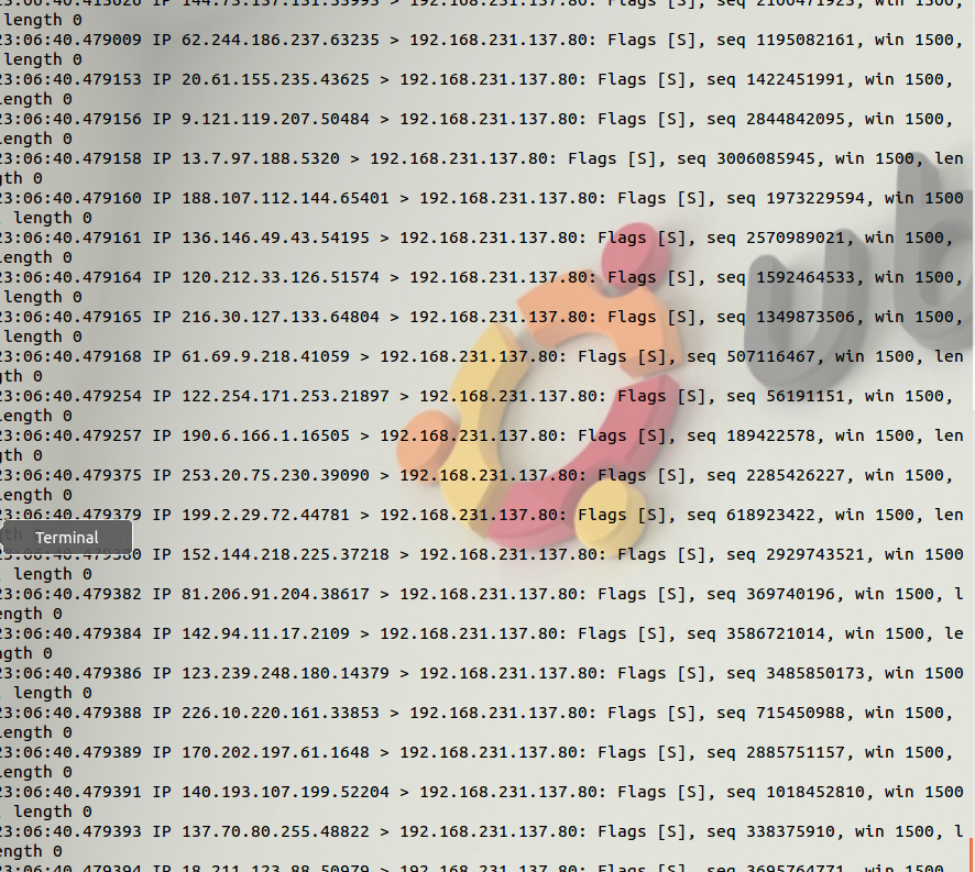 从入门到入土：IP源地址欺骗dos攻击实验_netwox地址欺骗-CSDN博客