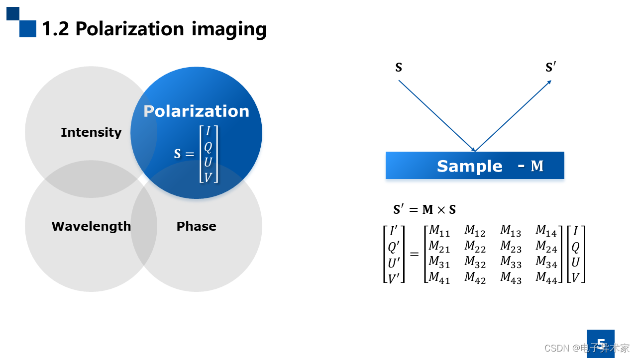 [PPT] Application of Polarization Imaging Techniques in Brain Tumor Detection 偏振成像技术在脑肿瘤检测中的应用 ...