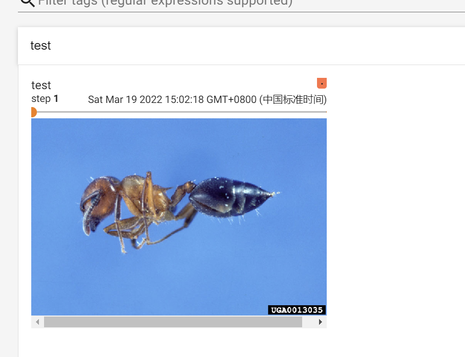 利用tensorboard来展示图片的逐步展示_tensorboard查看batch图片如何按一步步查看-CSDN博客